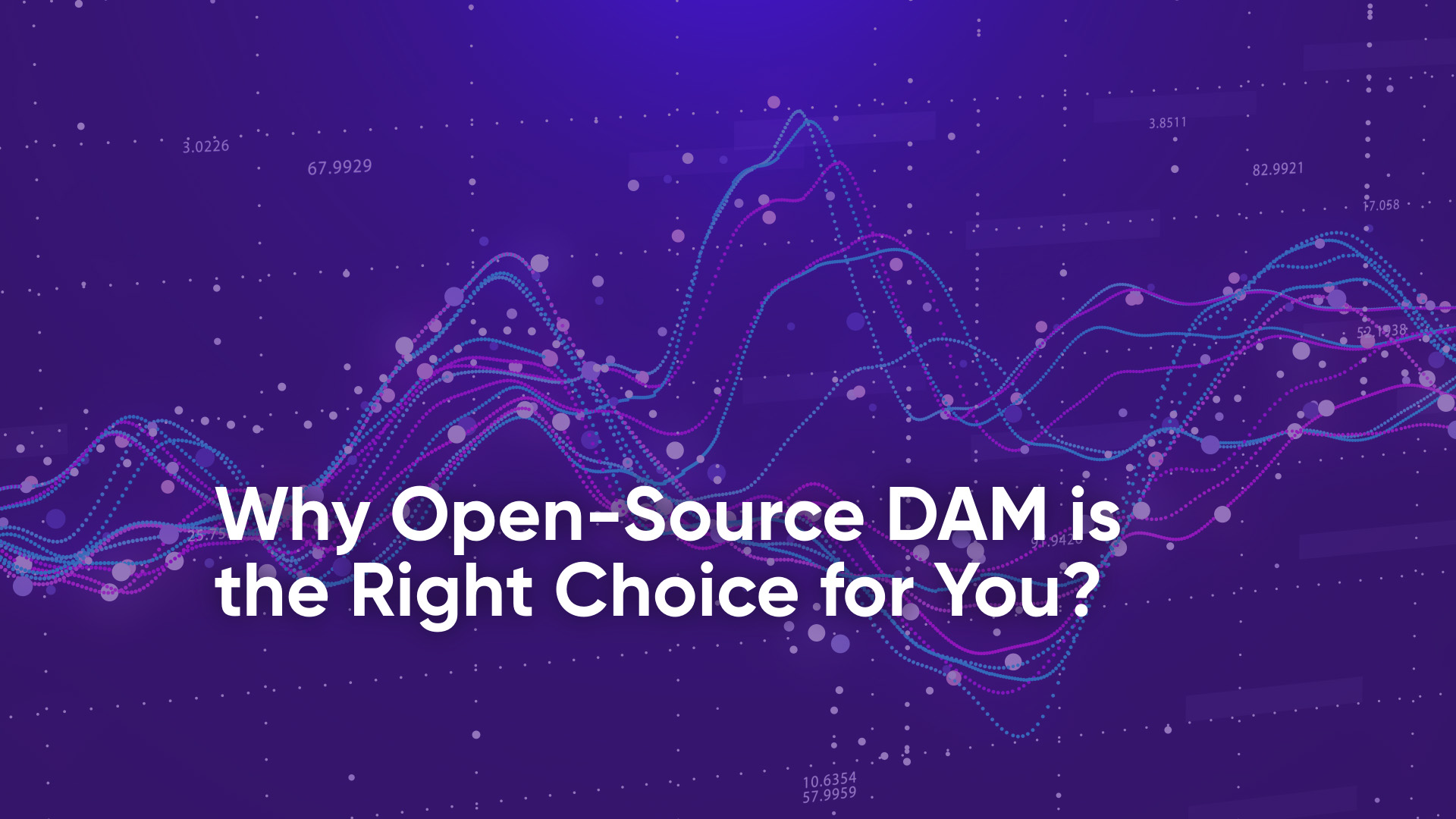 Top 5 Free and Open Source DAM Software 2023 - Pimcore