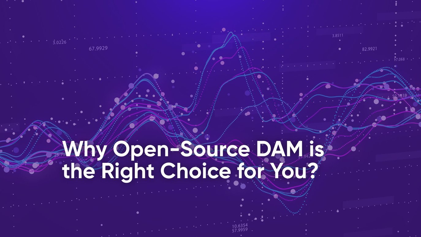 Top 5 Free and Open Source DAM Software 2023 - Pimcore
